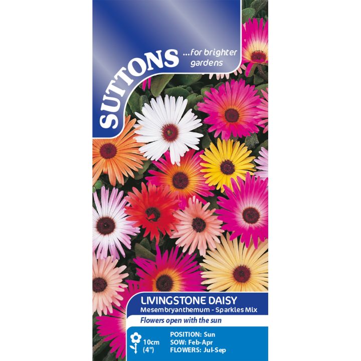 Gardening :: Seeds :: Flower Seeds :: Livingstone Daisy ...